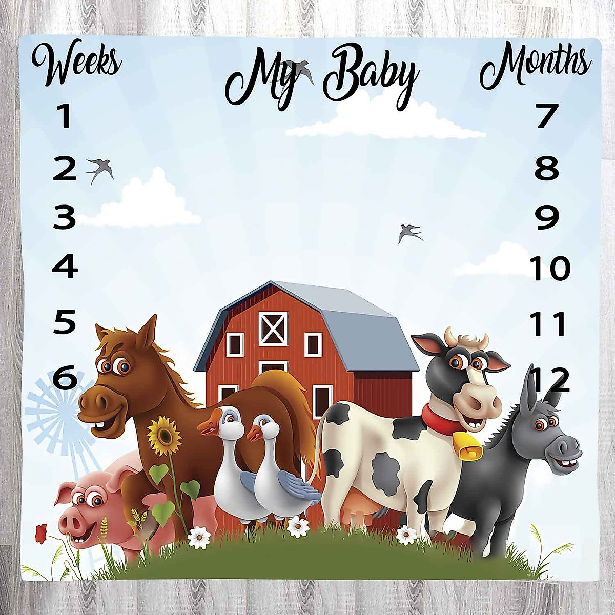 LYLYCTY Baby Monthly Milestone Blanket, Farm Theme Month Blanket for Newborn Baby Shower, Farm Animals Photography Background for Baby 48x40 inches BTCJLY13
