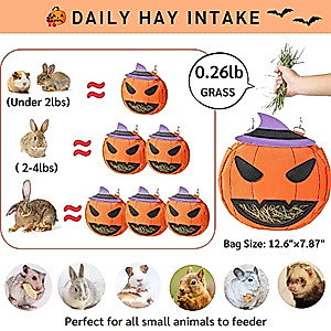 JanYoo Rabbit Hay Feeder Halloween Guinea Pig Accessories Hay Bag Hanging Rack for Small Animal Chinchilla(Pumpkin)