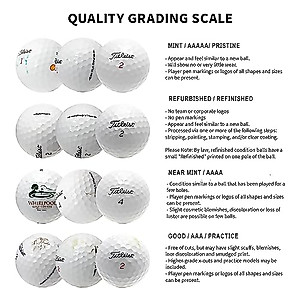 Vice Mix Mint Golf Balls 12 Pack, White (12GNBX-Vice Mix-1)