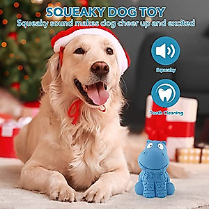 petizer Indestructible Squeaky Dog Toys for Aggressive Chewers, Durable Tough Latex Toys for Heavy Chewers, Natural Rubber Toys for Small/Medium/Large Dogs, Blue Hippo