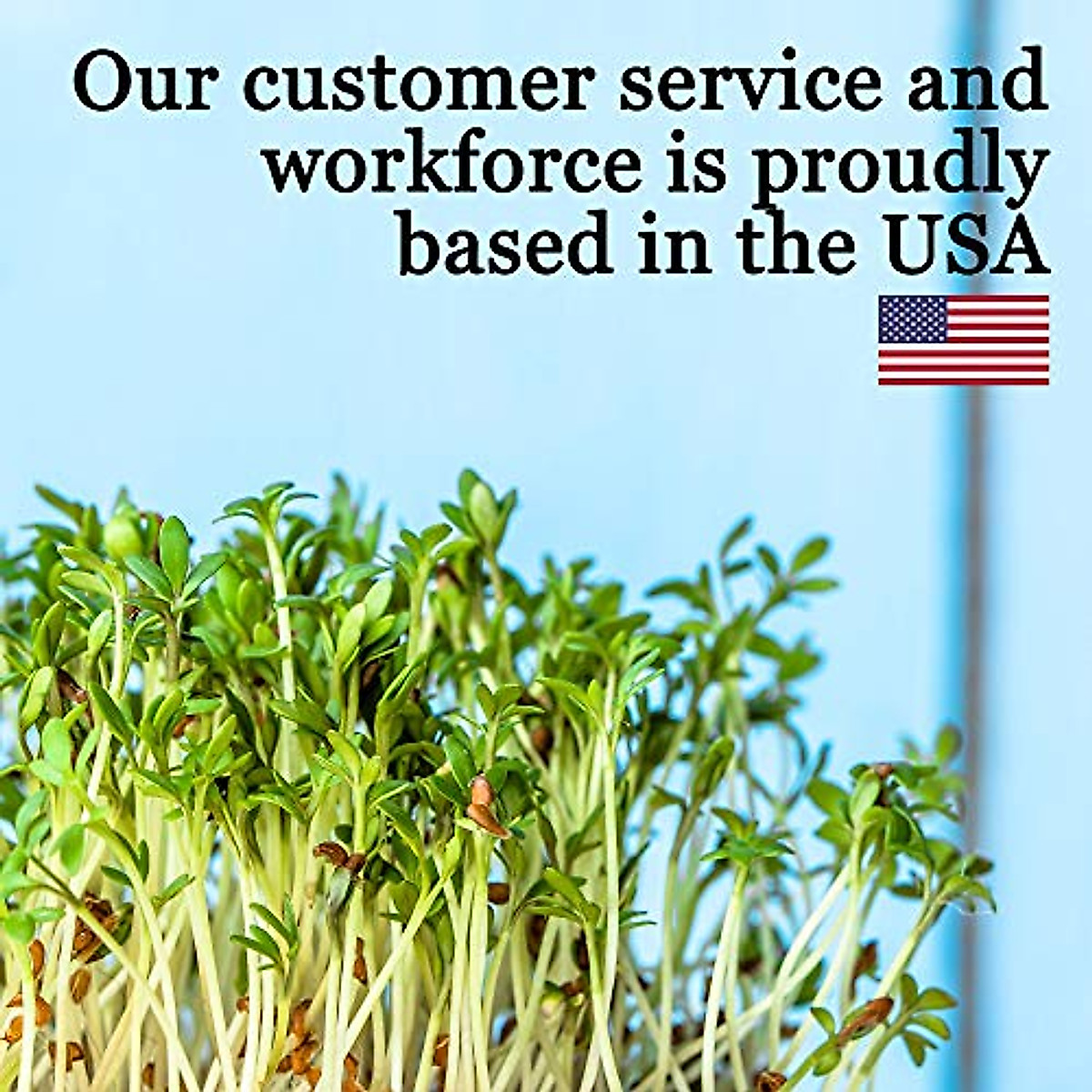 Organic Broccoli Sprout Growing Kit - Includes 316 Stainless Steel Sprouting Lid, Sprout Stand, and Organic Non-GMO Broccoli Sprouts Seeds - Complete Broccoli Sprout Kit by Handy Pantry & Trellis + Co