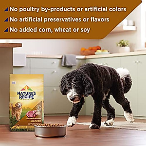 Nature′s Recipe Dry Dog Food, Mature Lamb & Brown Rice Recipe, 24 lb. Bag