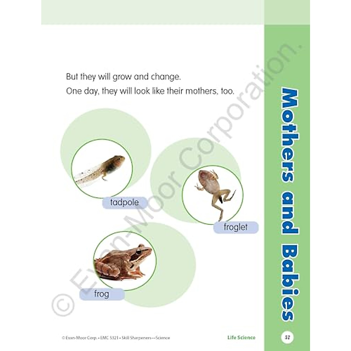 Evan-Moor Skill Sharpeners Science Workbook, Grade 1, Physical, Life, and Earth Science, Songs, Activities, Space, Animals and Eggs, Plants, Habitats, Recycling, Weather, Technology, Homeschool