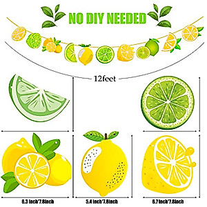 Lemonade Party Decoration Lemonade Foil Latex Balloons Banner,Lemonade Garland Decoration for Summer Lemonade Party