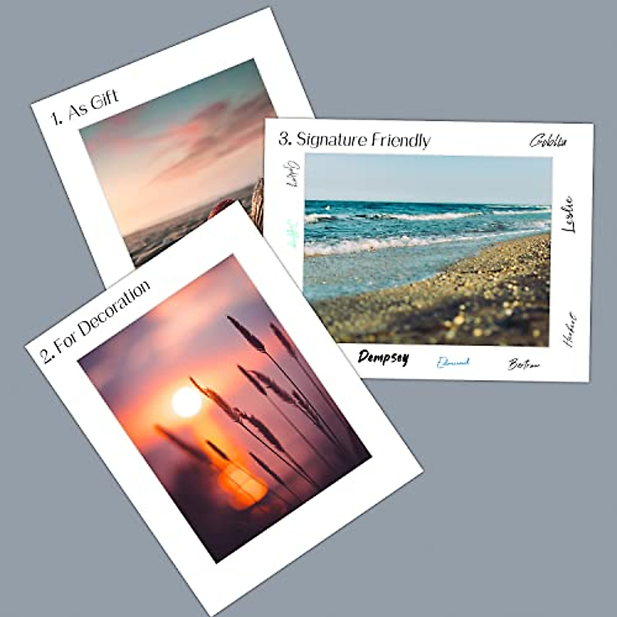 Golden State Art, White Pre-Cut 11x14 Picture Mat for 8.5x11 Photo, with Acid Free White Core High Premier Bevel Cut Mattes (10-Pack)