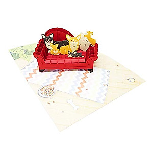 Happy Corgi Family - 3D Pop Up Greeting Card For All Occasions - Love, Birthday, Christmas, Good luck, Father's Day, Mother's Day - Message Note for Personalized - Thick Envelope, Fold Flat