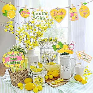 Lemon Bridal Shower Decorations She Found Her Main Squeeze Photo Booth Props Lemon Citrus Party Supplies - Set of 24