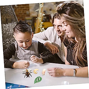 Yardenfun 1 Set Stag Beetle Growth Week Little Critters Toys Educational Toys for Kids Spider Toy Honey Life Cycle Models Growth Statue Bee Growth Cycle Plastic Honey Bee Life Cycle Models