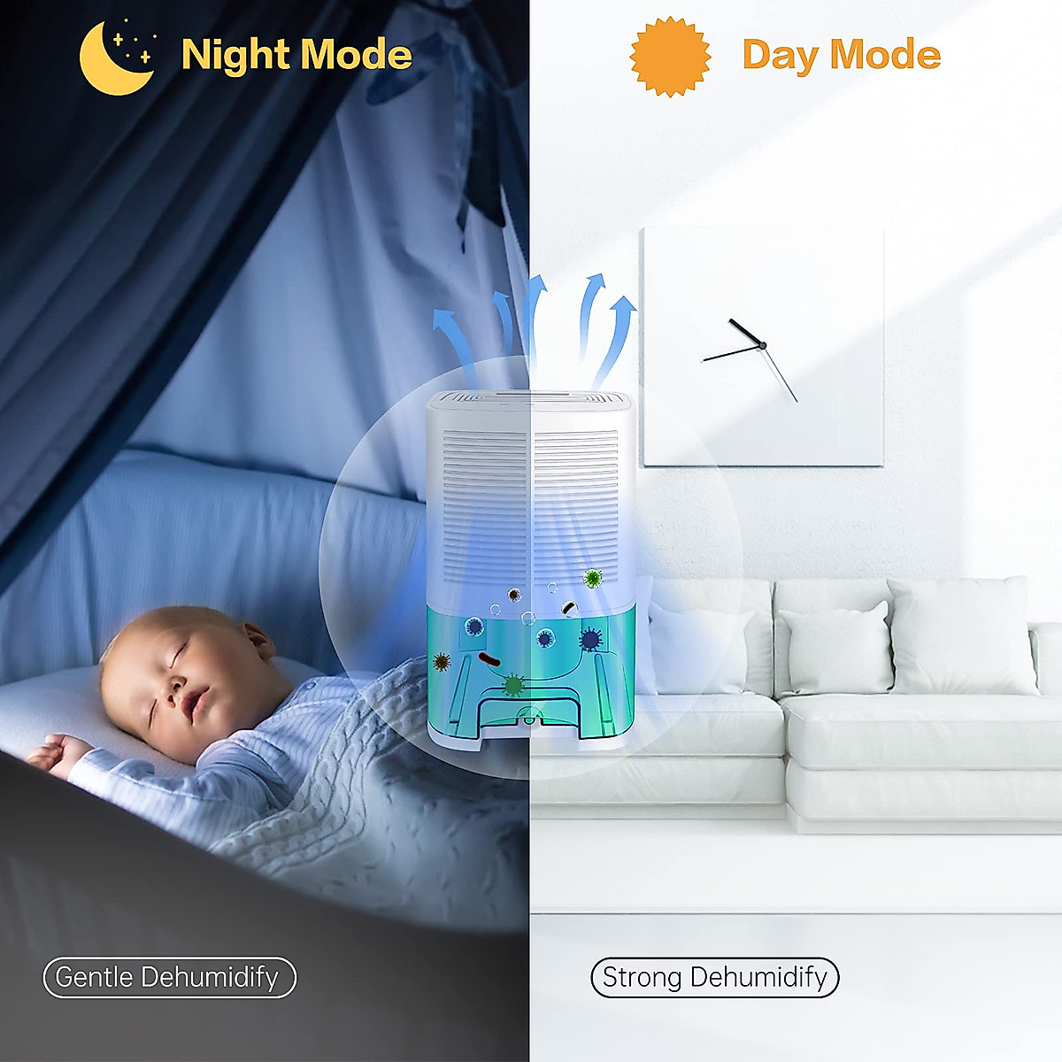 MADETEC Dehumidifiers for Home 8000 Cubic Feet 800 Sq.ft, Portable Dehumidifier with Drain Hose and 68oz (2000ML) Water Tank, Ideal for Basements Bedroom Bathroom Closet Kitchen RV