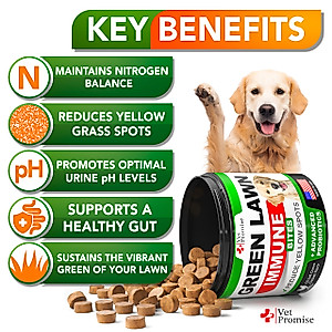 Grass Burn Spot Chews for Dogs - Dog Urine Neutralizer for Lawn - 120 Grass Green Dog Chews - Grass Savers for Dog Urine - Dog Pee Grass Neutralizer with Probiotics - Digestive Enzymes - Made in USA