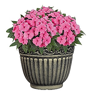 Classic Home and Garden 9475-060 Umbria Planter, 12" Planter, Ivory Ash