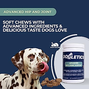 Advanced Hip & Joint Supplements for Dogs, USA Made with Glucosamine & Green Lipped Muscle for Mobility Health, 60ct