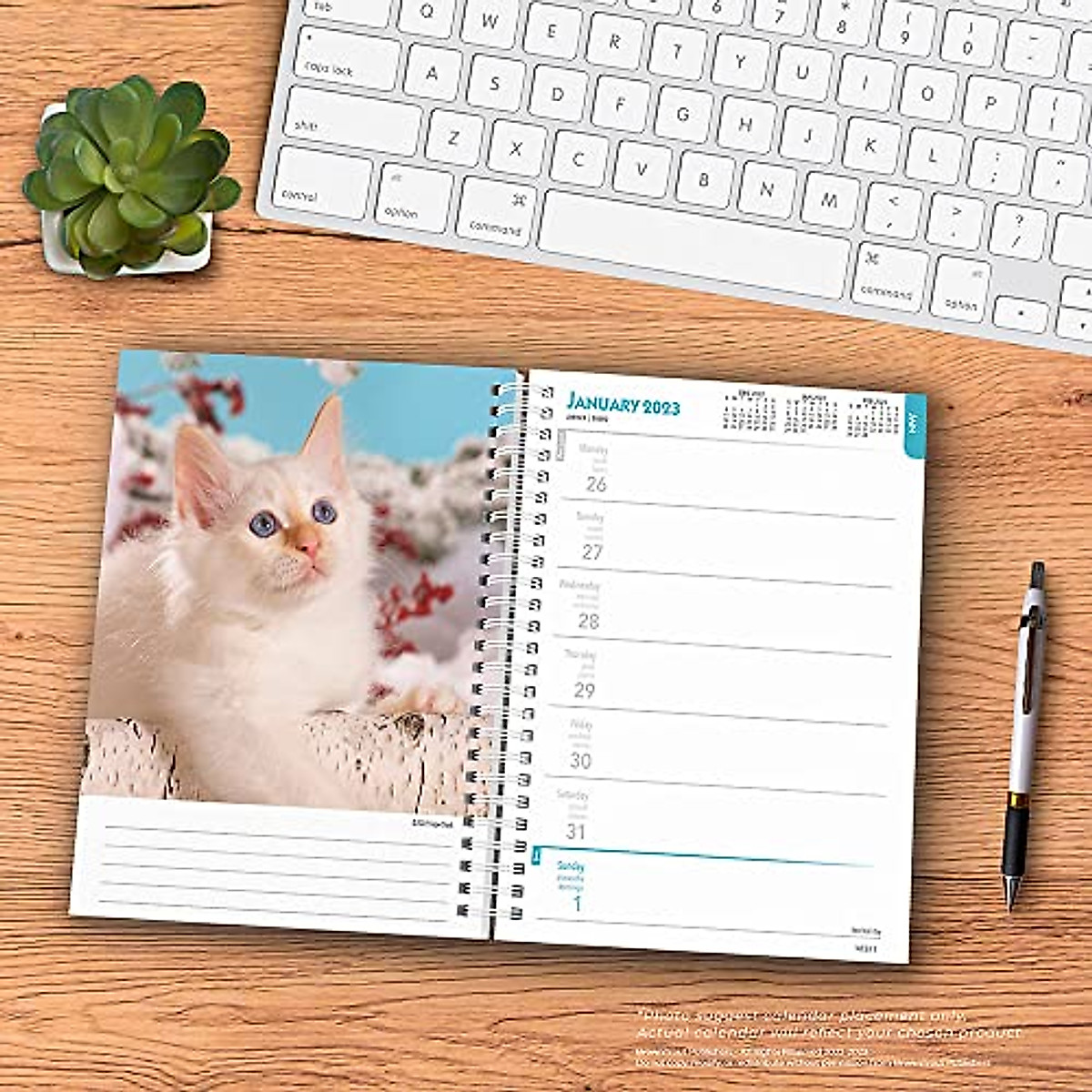 Kittens | 2023 6 x 7.75 Inch Spiral-Bound Wire-O Weekly Engagement Planner Calendar | New Full-Color Image Every Week | BrownTrout | Animals Cats Pets