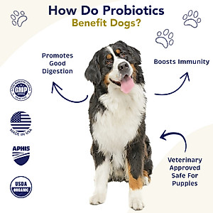 Probiotics for Dogs Digestive Health (Chicken & Bacon) - Dog Probiotic Powder Relieve Diarrhea, Constipation, & More - Dog Calming Treats – Maximum-Strength Dog Digestive Support