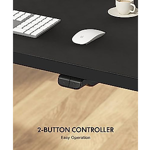 FLEXISPOT Standing Desk 48 x 30 Inches Height Adjustable Electric Sit Stand Home Office Desks Whole Piece Desk Board (Black Frame + Black top,2 Packages)