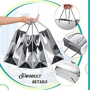 12 Pack Metallic Gift Bags Party Favor Bags Paper Shopping Bags with Handles Bulk and 12 Sheets Gift Tissue Paper Wrapping Paper for Birthdays, Wedding, Party Favors, 9 x 8 x 4 Inch(Silver)