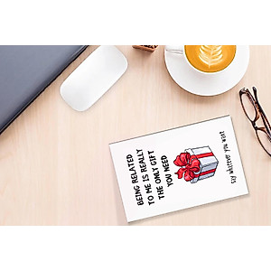 Funny Brother Birthday Cards, Joke Birthday Cards for Sister, Funny Happy Birthday Cards for Cousin, BEING RELATED TO ME IS REALLY THE ONLY GIFT YOU NEED