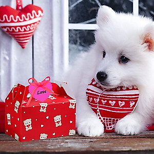 Winlyn 48 Set Valentine's Day Treat Boxes Hearts Prints Boxes Cookie Boxes Goodie Bag Party Favor Boxes Container Candy Box with Heart Tags Bulk for Kids Girls School Classroom Supplies