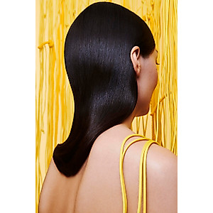 Björn Axén Repair Shampoo - Repairs Dry and Damaged Hair - Enriched with Organic Argan Oil - Strengthens and Hydrates Hair - Leaves Hair Shiny and Renewed - Vegan - Dermatologically Tested - 8.45 oz