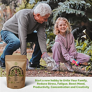 Organo Republic 25 Winter Vegetable & Herb Garden Seeds Variety Pack for Outdoors & Indoor Home Gardening 5000+ Non-GMO Heirloom Seeds Broccoli Beet Carrot Cabbage Radish Pea Mint Thyme Parsley