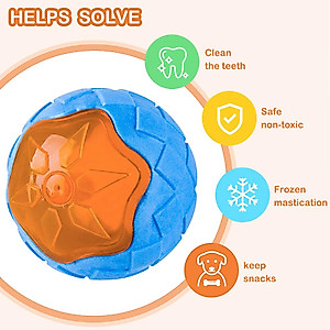 CoubonTail Dog Squeaky Toys Pack 4 Pcs, Pool Toys, Floating Toys for Interactive Fetch & Play, Dog Beach Toy Set, TPR