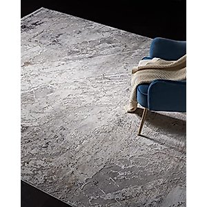SAFAVIEH Signature Collection 10' x 14' Grey/Gold SIG495F Viscose Living Room Dining Bedroom Area Rug