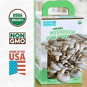 Back to the Roots Organic Mini Mushroom Grow Kit, Harvest Gourmet Oyster Mushrooms In 10 days, Top Gardening Gift, Holiday Gift, & Unique Gift