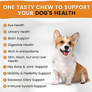 All-in-1 Multivitamin Dog Vitamins and Supplements | Soft Chews with Probiotics, Turmeric, Glucosamine, Omega Fish Oil, Digestive Enzymes for Hip and Joint Support, Skin and Coat Health