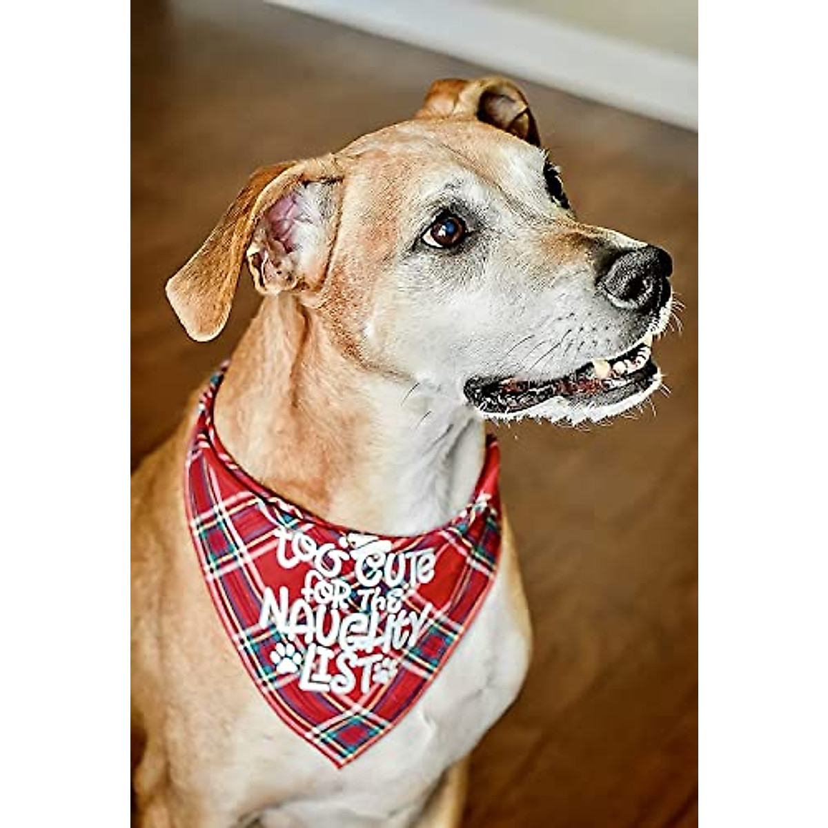 4 Pack Christmas Dog Bandanas, Classic Plaid Dog Scarf Bib, Premium Cotton Fabric, Holiday Bandanas for Small and Medium Dogs Pets
