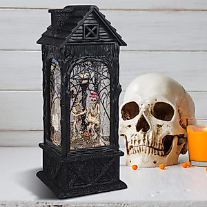 Wondise Halloween Projection Snow Globe with Timer, Battery Operated Spinning Water Glittering Skull Statue Lantern Globe for Halloween Decoration