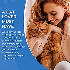 BestLife4Pets Oral Health for Cats - Cat Dental Care Supplement Anti inflammatory Pain Relief for Stomatitis Gingivitis and Gum Disease Cat Supplies for Dental Care - Easy to Use Pills (450 ct)