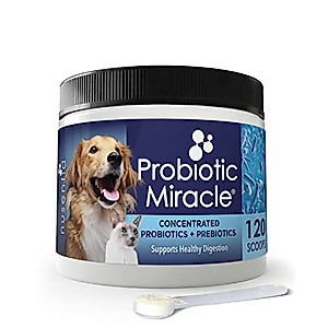 Probiotics for Cats & Dogs - (120 Scoops) Probiotic Miracle - Advanced Formula to Stop Diarrhea, Loose Stool, and Yeast.