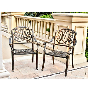 TITIMO 2 Piece Outdoor Bistro Dining Chair Set Cast Aluminum Dining Chairs for Patio Furniture Garden Deck Antique Bronze (Without Cushions)