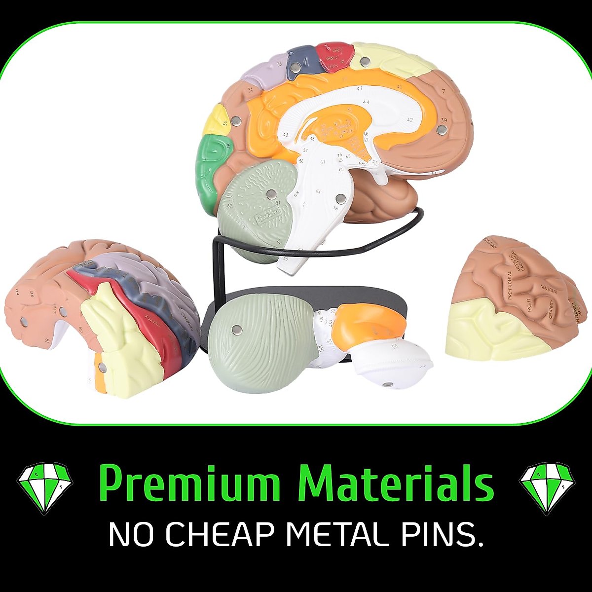 Geekidoc Human Brain Model with Laser-Engraved Numbers and Labeling | Includes Sturdy Metal Stand, Lightweight Carrying Case and Magnetic Dissections | 2x Life-size Human Brain Anatomy Model
