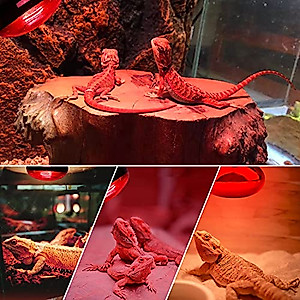 DGE Reptile Heat Lamp Bulb, 100 Watt Infrared Basking Spot Bulb of Bearded Dragon, Red Heat Lamp Bulbs for Reptiles and Amphibian Use, 2Packs