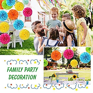 Tissue Pom Pom Paper Flower Ball Party Decorations - 15 Pcs 10, 12, 14 Inch -for Wedding, Birthday, Bridal Shower, Bachelorette, Baby Gift Shower
