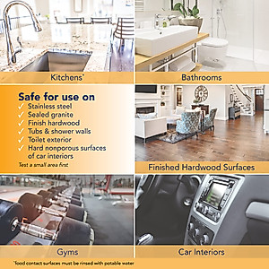 Arm & Hammer Essentials Disinfecting Wipes, Lemon Orchard 2-Pack, 110 Count, 220 Wipes, Volcano