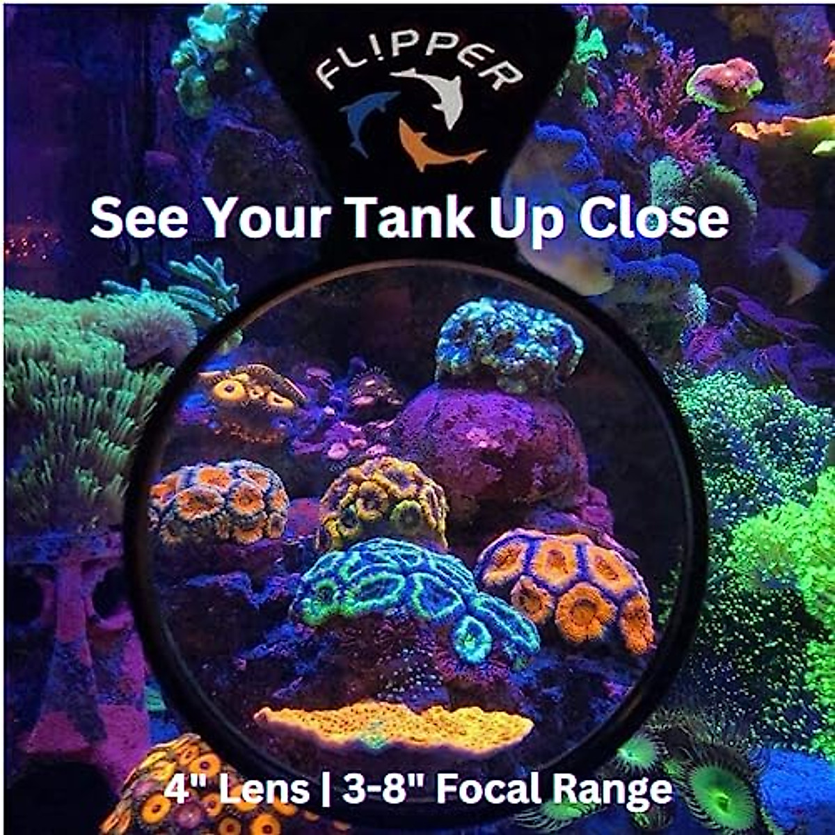 FL!PPER DeepSee Aquarium Magnifier Magnetic Viewer – Fish Tank Magnifying Glass – Magnetic Magnifying Glass Ideal for Photography – Flipper Fish Tank Accessories, 4"