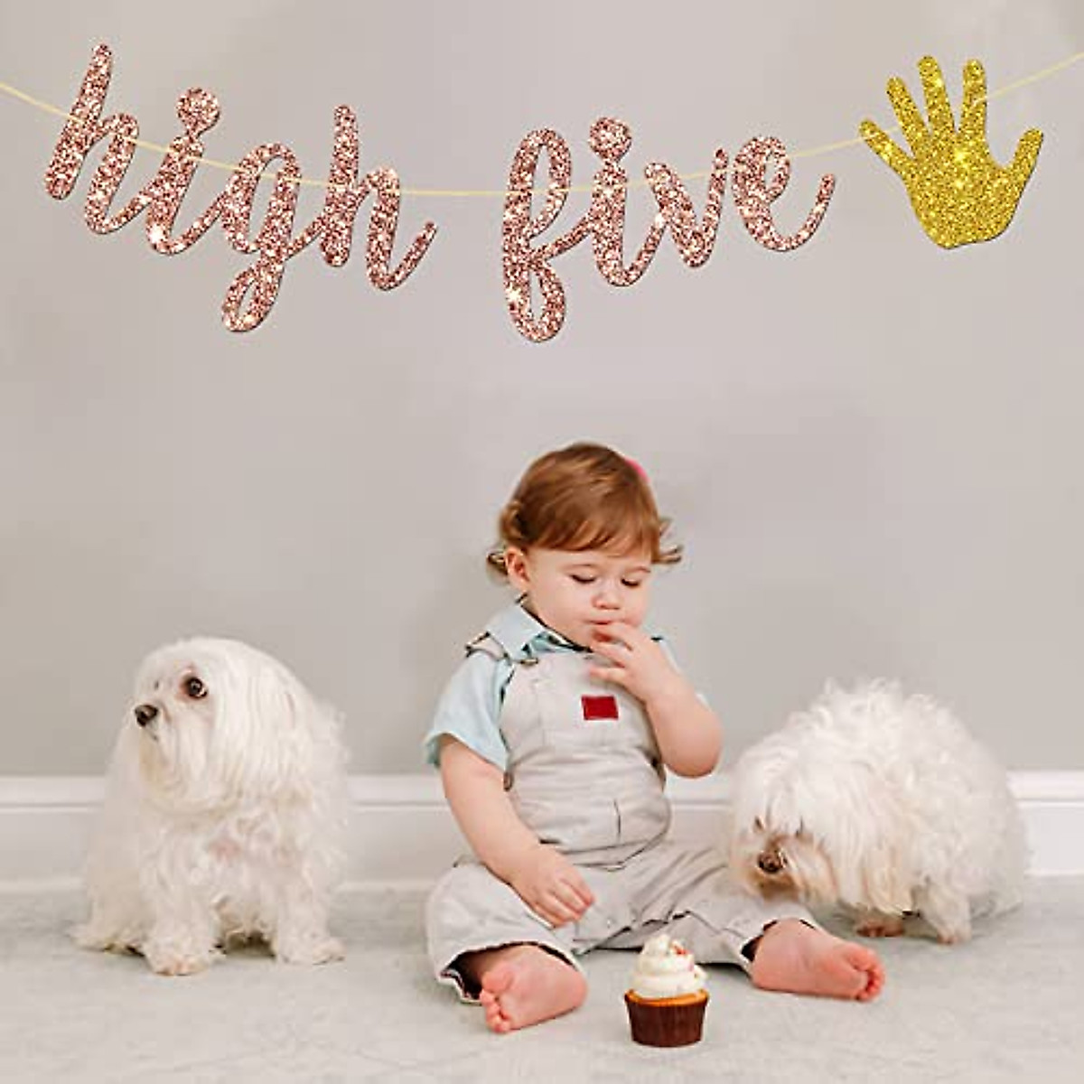 INNORU High Five Banner, Rose Gold Glitter Children 5th Birthday Party Decorations, 5th Birthday Garland Bunting, Boy Girl 5th Birthday Party Supplies