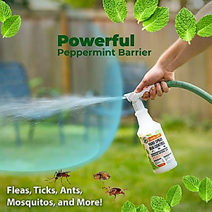Mighty Mint 32oz Yard Spray Bug Control Natural Peppermint Lawn Spray for Fleas, Ticks, Mosquitos, Ants, and Other Insects