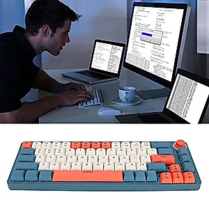 Gaming Keyboard, Multifunctional LK67 USB C Wired 67 Keys Mechanical Keyboard Comfortable Touch Blue for Work for Gaming (Silver Switch)