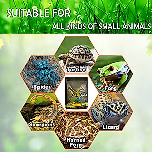 BNOSDM Reptile Terrarium Sand Lizard Substrate and Snake Bedding Clean Natural Terrarium Bedding for Bearded Dragon Lizard Gecko Scorpion Chameleon