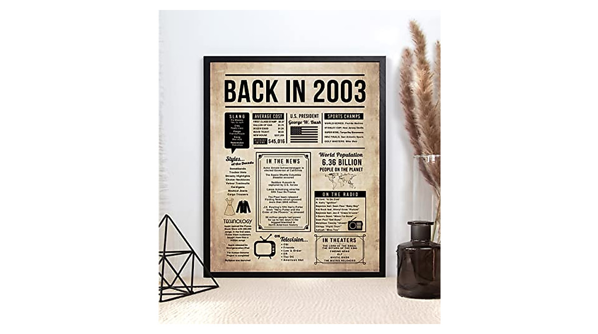 20th Birthday Decorations for Men & Women - Vintage 2003 Sign