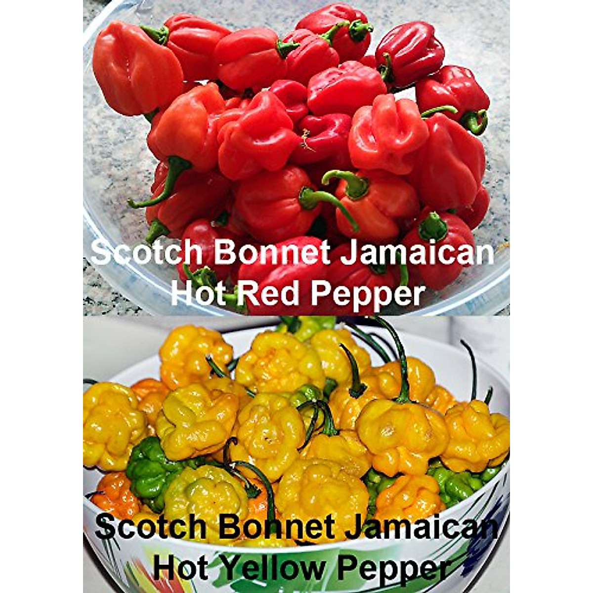 PLEASE READ! THIS IS A MIX!!! 30+ Hot Pepper Mix Seeds, 16 Varieties Heirloom NON-GMO Habanero, Tabasco, Jalapeno, Yellow and Red Scotch Bonnet, Ships from USA! US Grown.