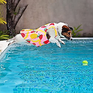 Hawaiian Shirt for Dog - Dog Hawaiian Shirt, Dog Hawaiian Dress for Small Dogs, Dog Clothes for Small Dogs Girl