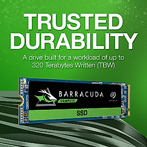 Seagate Barracuda 510 256GB SSD Internal Solid State Drive - PCIe Nvme 3D TLC NAND for Gaming PC Gaming Laptop Desktop (ZP256CM30041)