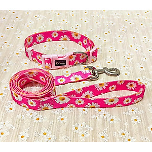 Olahibi Dog Collar and Leash Set, Cute Pink Daisy Pattern, Polyester Material, 5ft Leash, for Small Dogs.(S, Daisy Set)