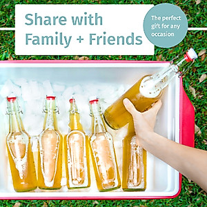 Otis Classic Swing Top Glass Bottles - Set of 6, 16oz w/ Marker & Labels - Clear Bottle with Caps for Juice, Water, Kombucha, Wine, Beer Brewing, Kefir Milk or Eggnog