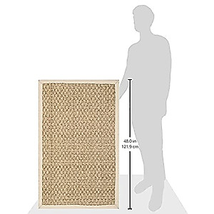 SAFAVIEH Natural Fiber Collection Accent Rug - 2'6" x 4', Natural & Beige, Border Basketweave Seagrass Design, Easy Care, Ideal for High Traffic Areas in Entryway, Living Room, Bedroom (NF114A)