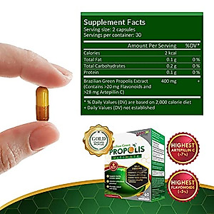 LABO Nutrition Brazilian Green Propolis Ultimate - Contains >7% or 28mg/Serving Artepillin C & >5% Flavonoids, for Immune & Brain Support, Natural, High Concentrate & Premium, 60 Veg Capsulesx3